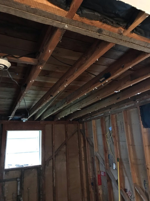 Open Rafter Ceiling | Shelly Lighting