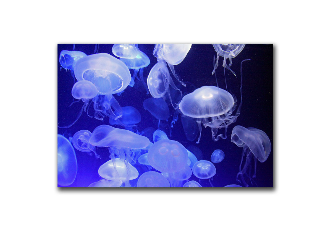 'Intangible Realities' Canvas Art by CATeyes, 22" x 32" - Prints And ...