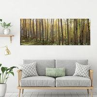 Yosemite Home Decor Sunlit Colorado Trees Wall Art - Contemporary ...