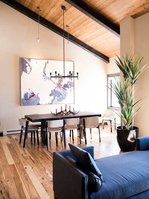 Best Cathedral Ceiling Design Ideas & Remodel Pictures | Houzz