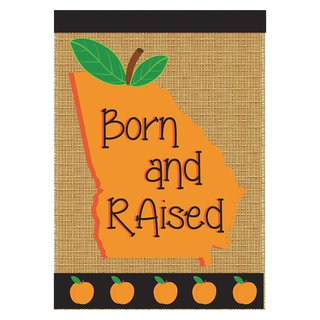 Flag Born and Raised - Georgia 13x18 - Flags And Flagpoles - by New and ...