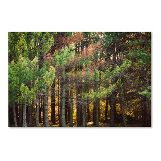Jason Shaffer 'Summer Tree Line' Canvas Art, 32 x 22 - Contemporary ...