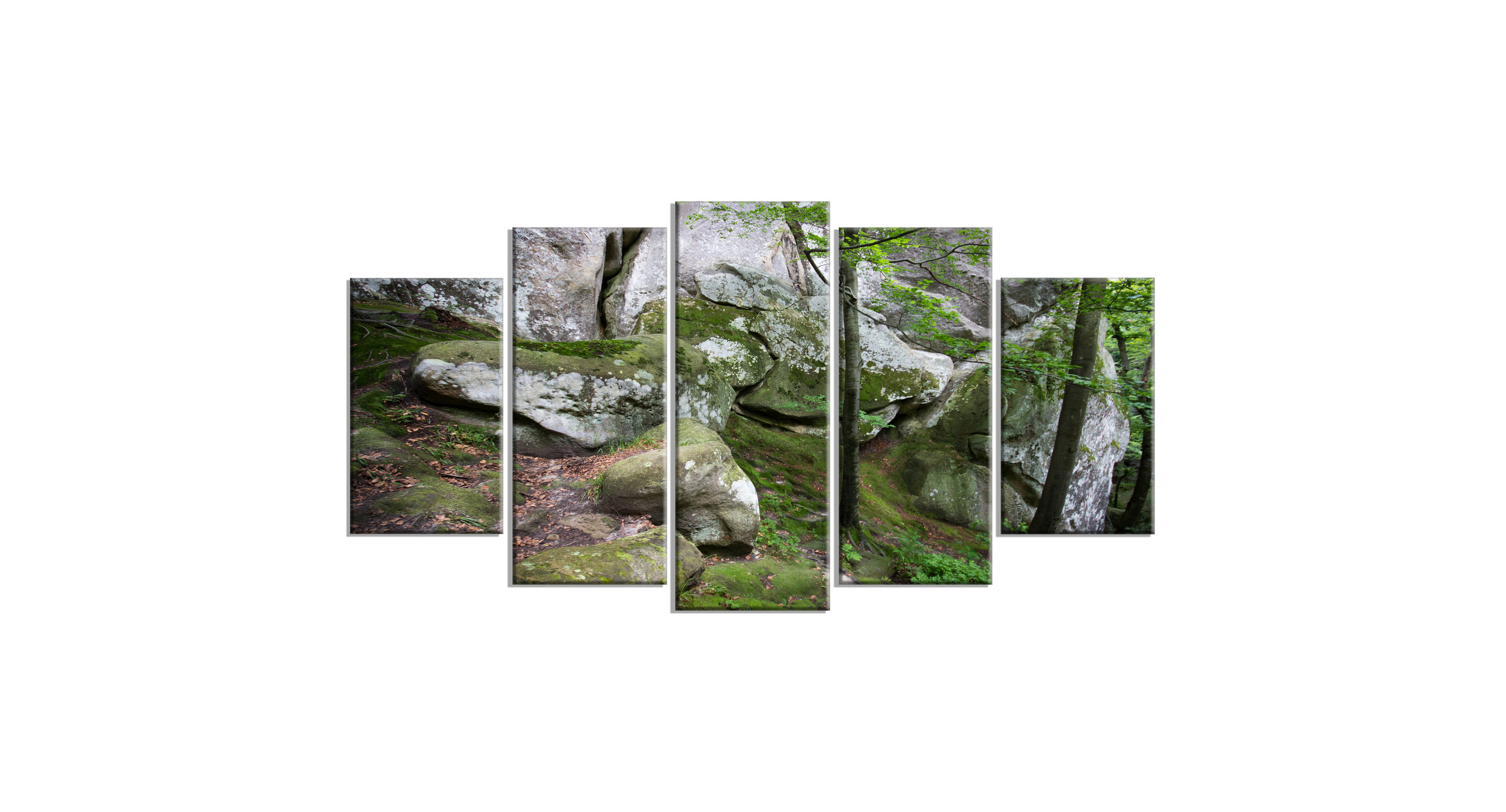"Deep Moss Forest With Rocks" Glossy Metal Wall Art, 60"x32" - Rustic ...