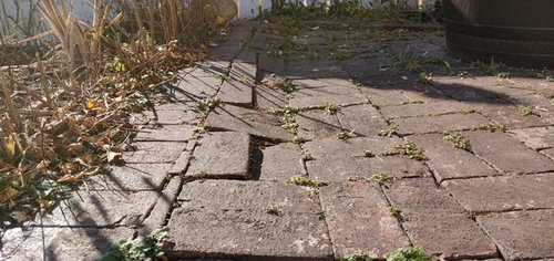 Patio with Sunken Bricks