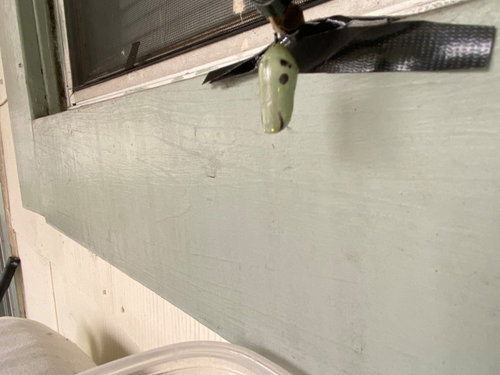 black spots and lines on monarch chrysalis?