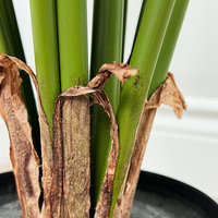 Artificial Botanical Split Philo, Green 47''H - Modern - Artificial Plants And Trees - by Le ...