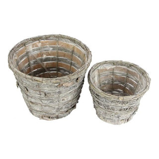 Set Of 2 Grey Rustic Birch Tree Bark 6" And 8" Pot W/ Soft Liner ...