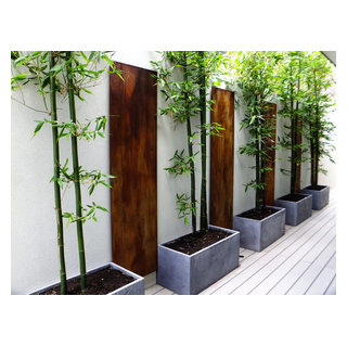 Contemporary Landscape - Contemporary - Garden - Perth | Houzz AU