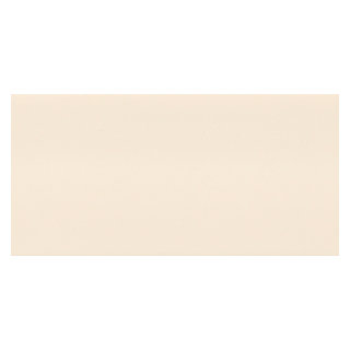MSI NGLO3X6 6" x 3" Rectangle Wall Tile - Polished Smooth Visual ...