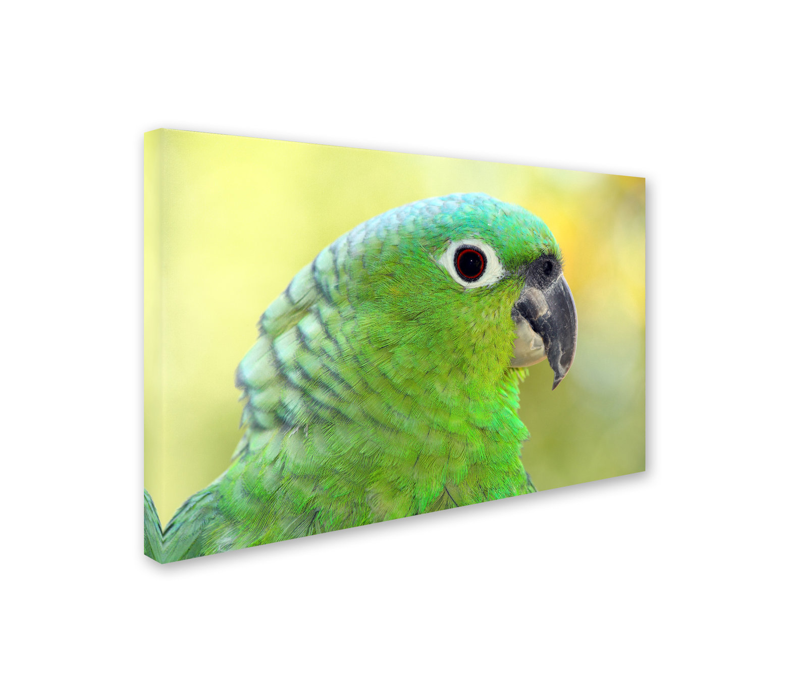 "Green Birds" by Robert Harding Picture Library, Canvas Art, 30"x47 ...