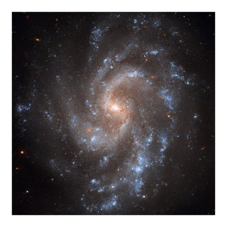 "NGC 5584" Digital Paper Print by NASA, 20"x20", 32"x32" - Contemporary ...