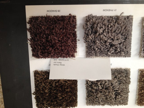Need help choosing carpet color.