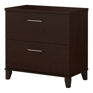 Bush Furniture Somerset 2 Drawer File Cabinet in Ash Gray ...