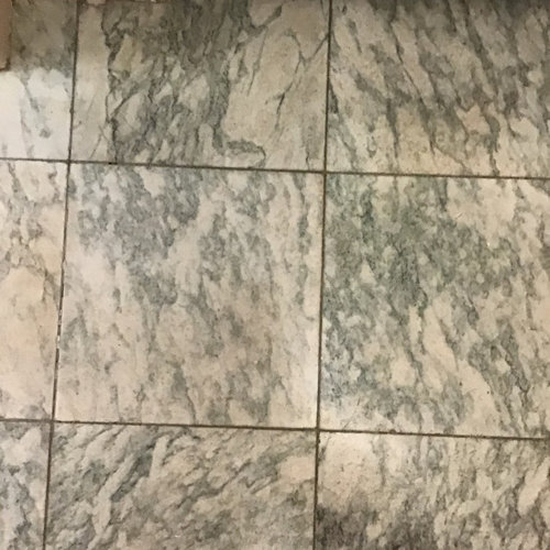 Tile (Marble?) identification Tudor 1929