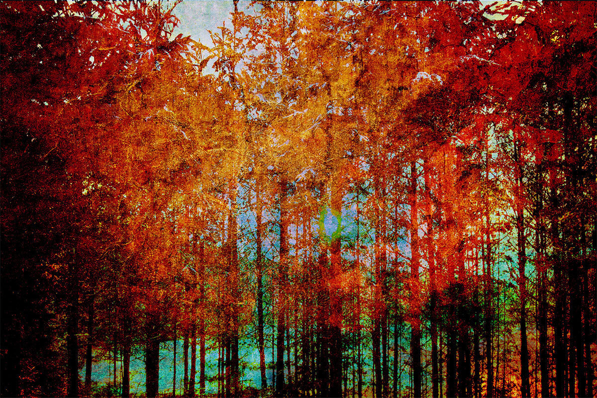 Abstract Tree Metal Wall Artwork, 24x16 - Transitional - Metal Wall Art ...