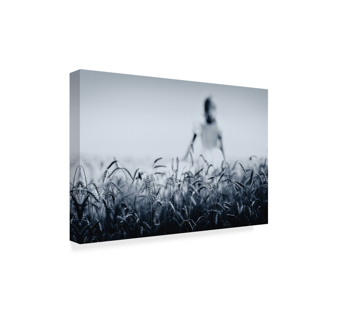 Dmitry Laudin 'The Dream Woman' Canvas Art, 24"x16" - Contemporary ...