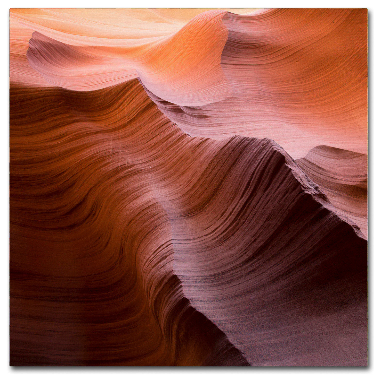 "Smooth I" Canvas Art by Moises Levy, 14"x14" - Traditional - Prints ...