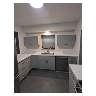 Modern Kitchen Remodel Done in a Haze SuperMatte Slim Shaker Door ...