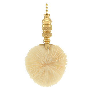 Mushroom Coral Sea Shell Ceiling Fan Pull, 3"h with 12" Polished Brass ...