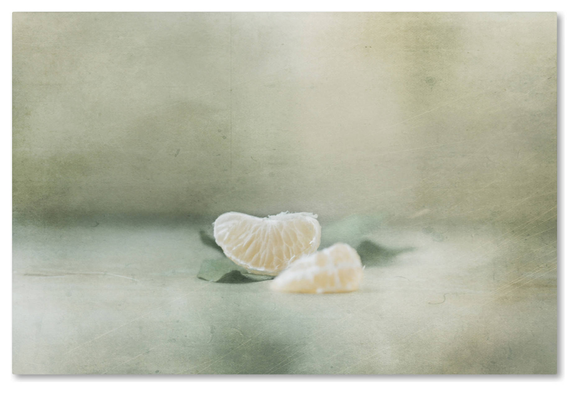 Delphine Devos 'Vintage Tangerine' Canvas Art, 12x19 - Farmhouse ...