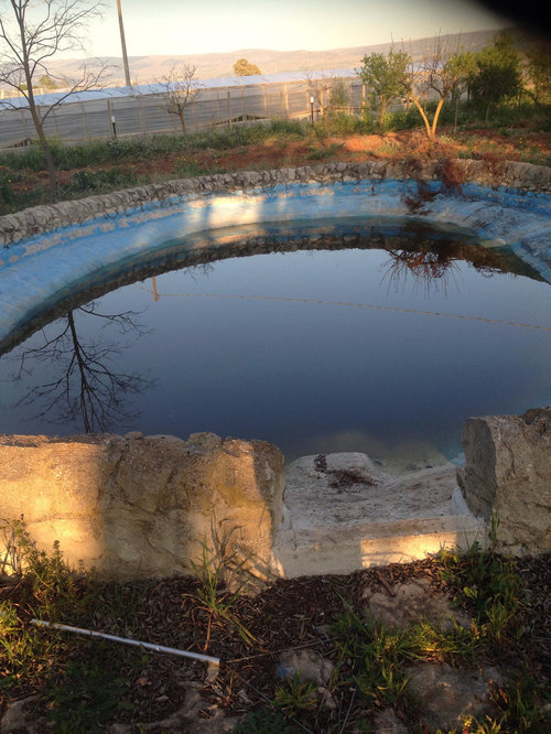 Come utilizzare 5000 m2 di terreno