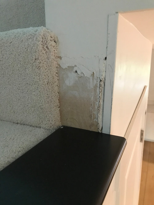 Stair Riser and Side Trim - Need Advice