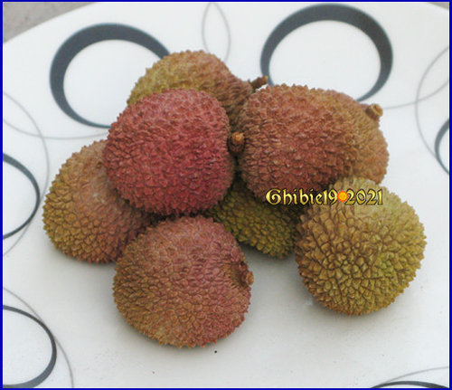 Growing Lychee from seeds?