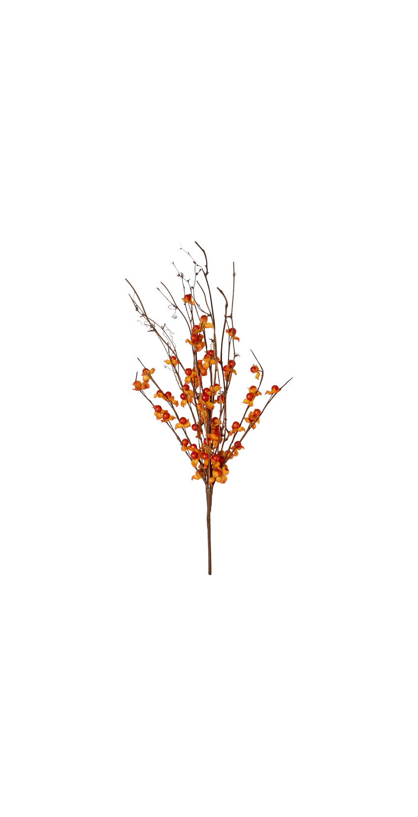 Bittersweet Spray, Set of 2, 18" - Contemporary - Artificial Flower ...