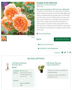 2019 USA New Rose Introductions | Houzz Forum