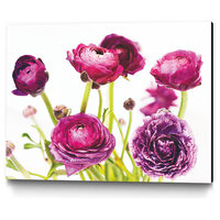 "Spring Ranunculus III" Museum Mounted Canvas Print, 24"x18 ...