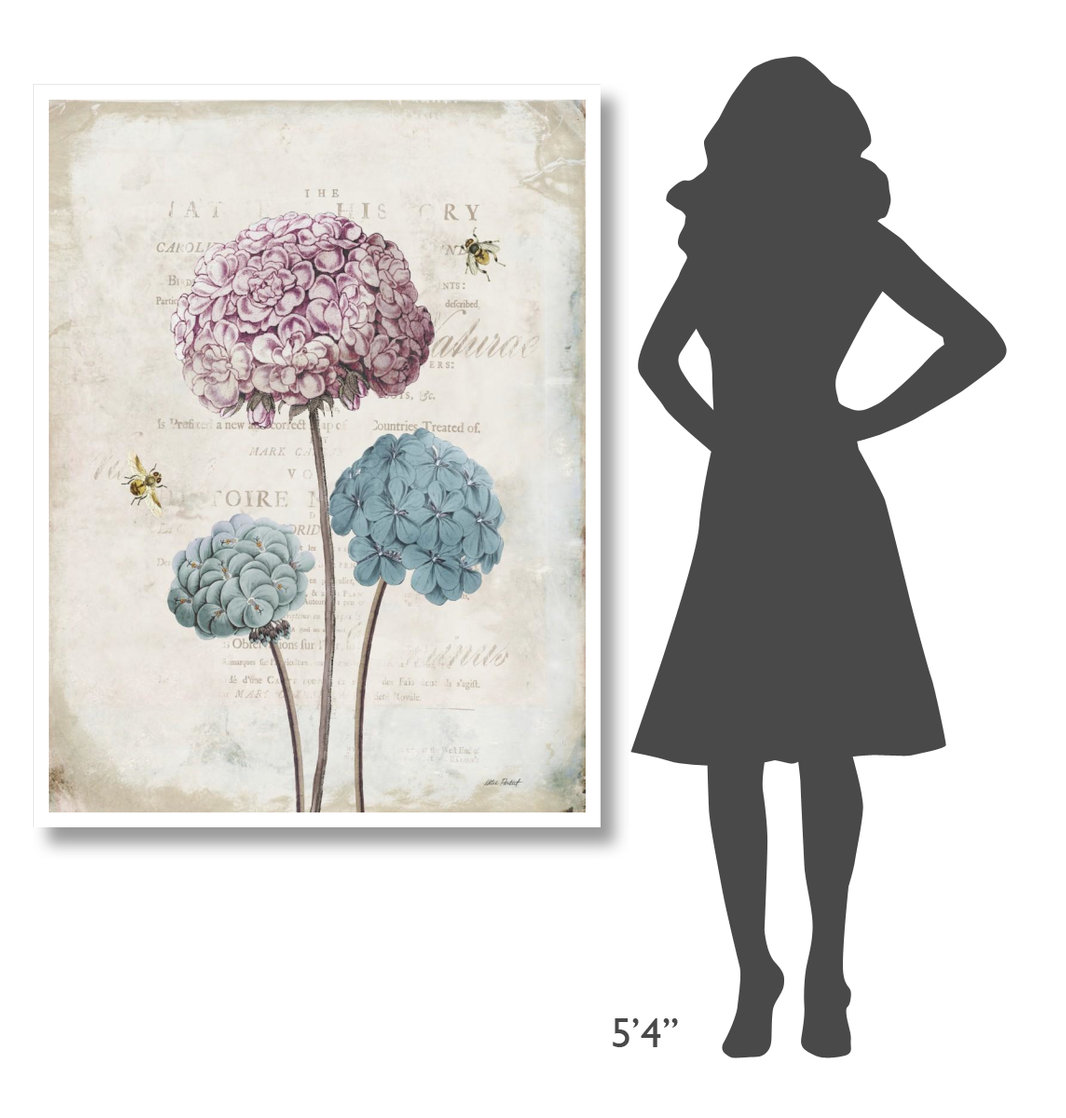 "Geranium Study I Pink Flower" Digital Paper Print by Katie Pertiet, 14 ...