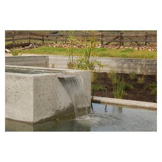 Remick Bill - Modern - Garden - San Francisco - by Huettl Landscape ...