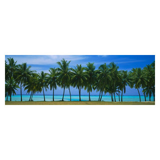 Palms Trees Aitutaki Cook Islands Panoramic Fabric Wall Mural, 54 in x ...
