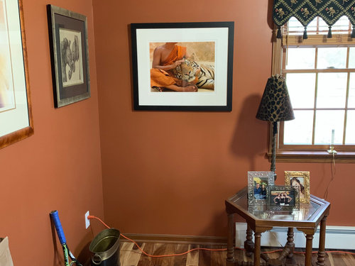 What color to paint our den?