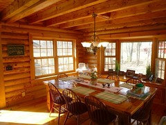 Log Home Window Treatments?