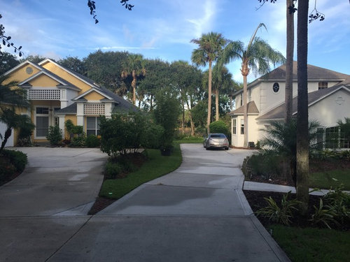 Need ideas for landscape/privacy between driveways and sideboard....