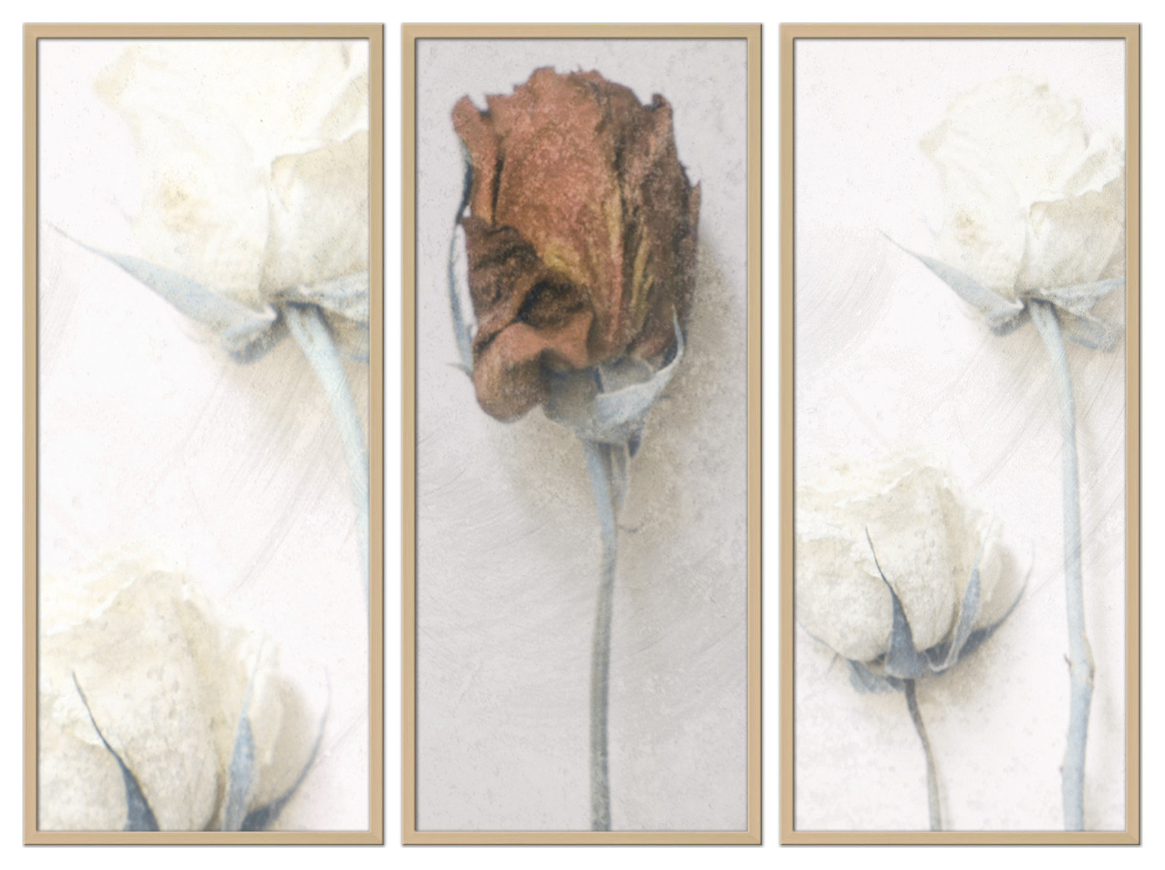 Memories of Modest Emotion 3-Piece Wall Art , Delphine Devos, 20"x40 ...