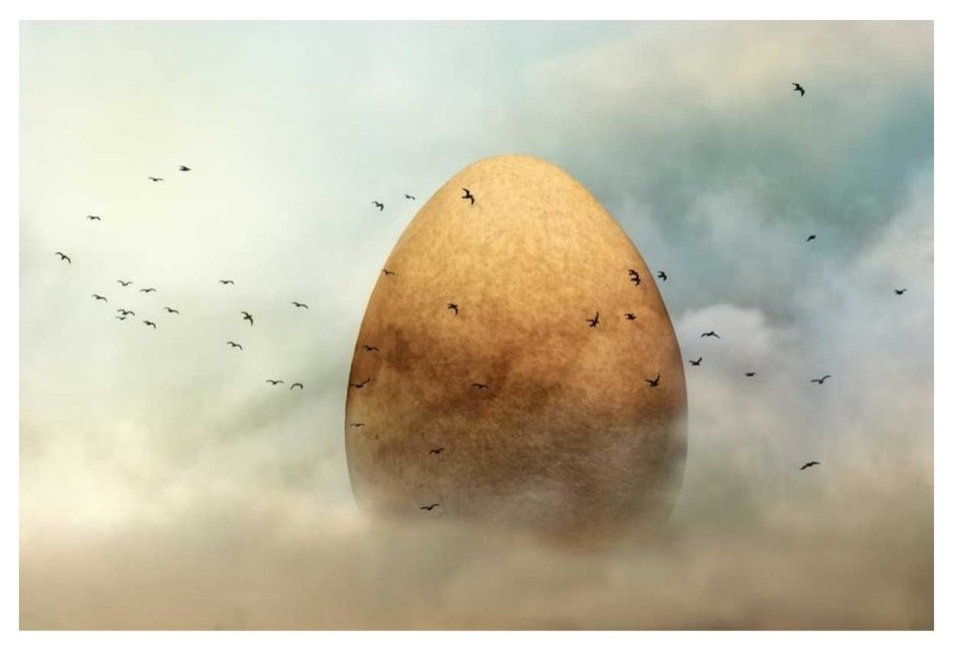 "Genesis" Digital Paper Print by Piet Flour, 24"x17", 24"x17 ...