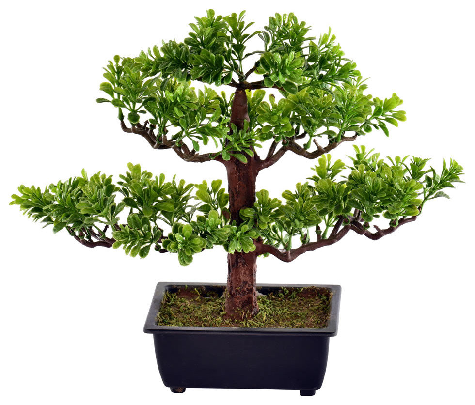 10" Potted Murraya Bonsai Tree - Traditional - Artificial Plants And ...