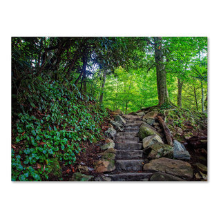 Bob Rouse 'Steps On The Sinks 2' Canvas Art - Rustic - Prints And ...