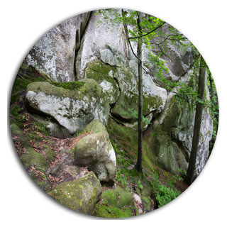 Deep Moss Forest With Rocks, Landscape Disc Metal Artwork, Disc of 11 ...