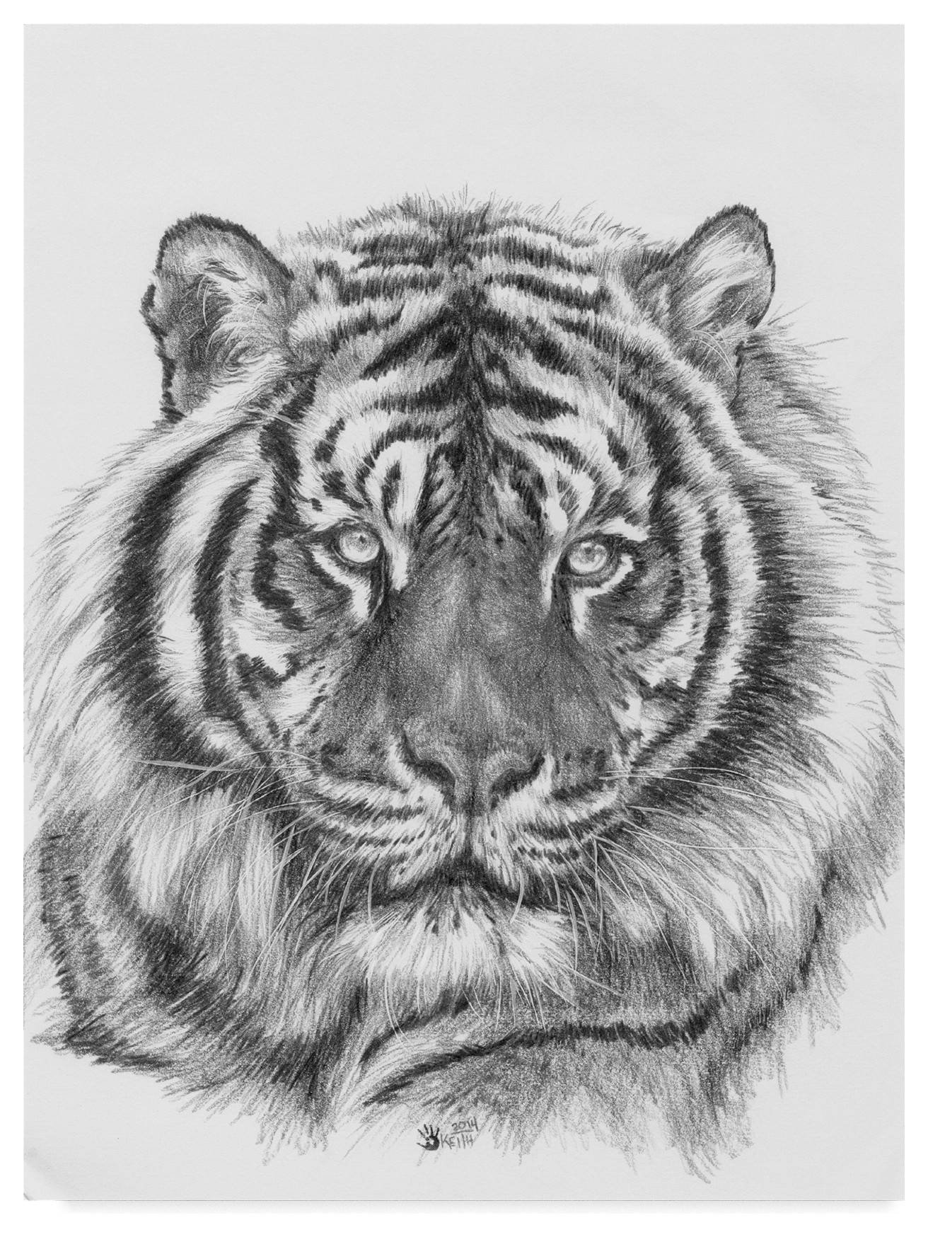 "Sparkle" by Barbara Keith, Canvas Art, 32"x24" - Contemporary - Prints ...