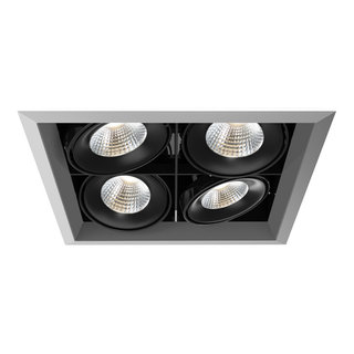 Eurofase TE134BLED-30-4-0N LED Recessed, Platinum - Modern - Recessed ...