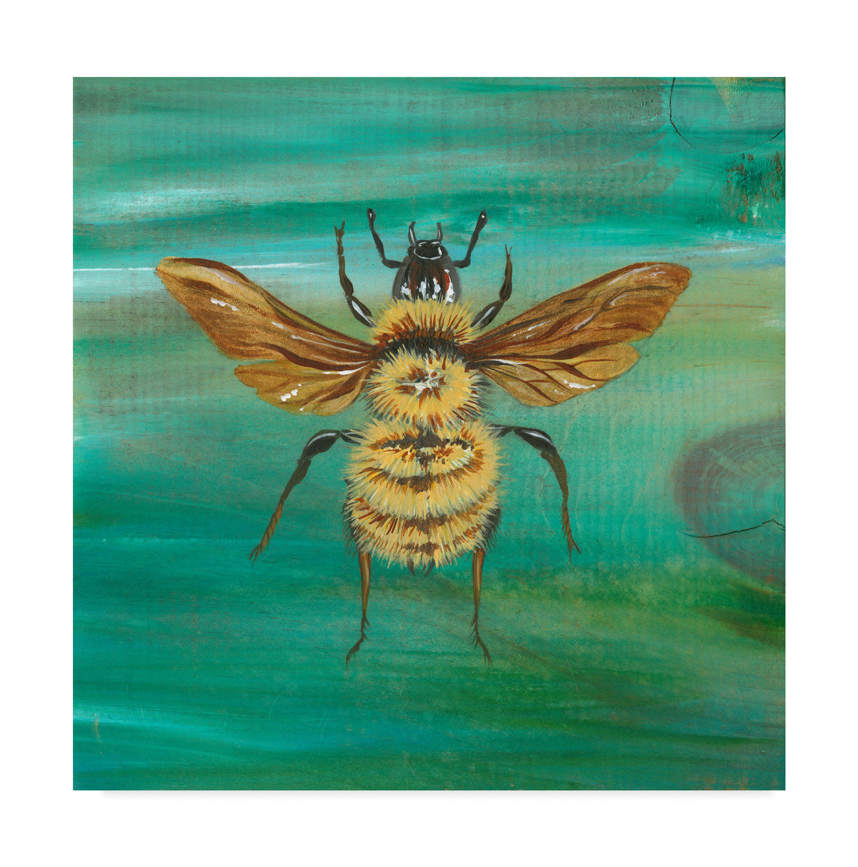 Gigi Begin 'Yellow Bumble Bee' Canvas Art, 18"x18" - Farmhouse - Prints ...