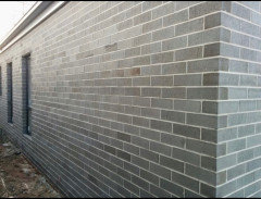 Built with Austral Chiffon or Silver Birch Bricks? (Pics please ...