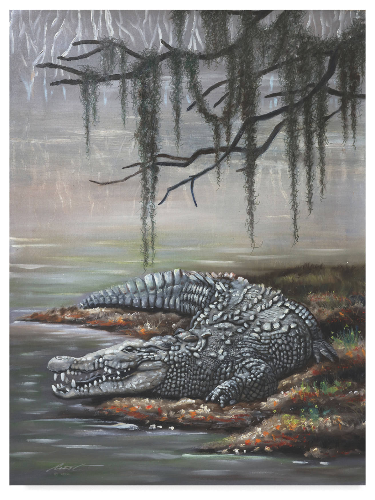 "American Crocodile" by D. Rusty Rust, Canvas Art, 24"x18" - Rustic ...