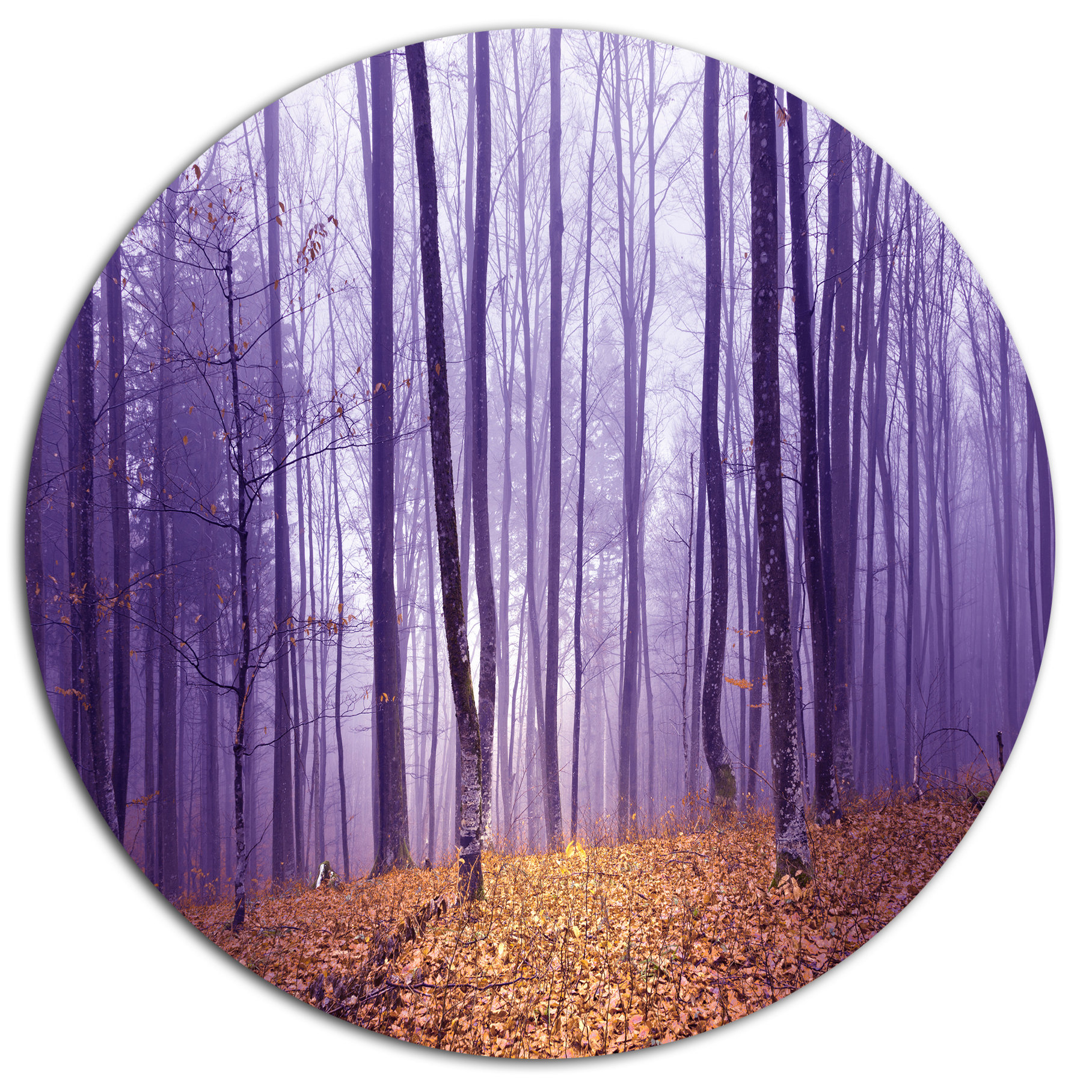 Magenta Foggy Fairytale Forest, Forest Round Wall Art, Disc of 36 inch ...