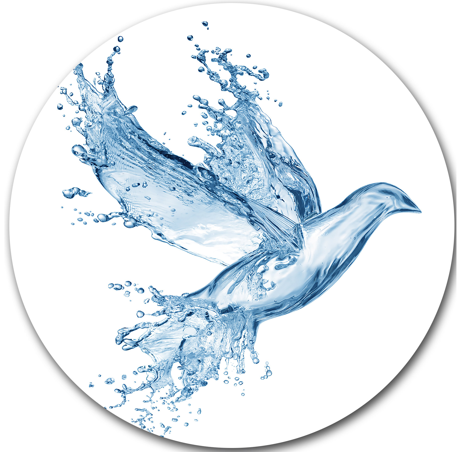 Dove From Water Splashes, Animal Digital Large Disc Metal Wall Art ...