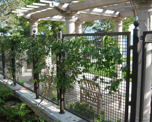 Grape Vine On Fence Home Design Ideas, Pictures, Remodel and Decor
