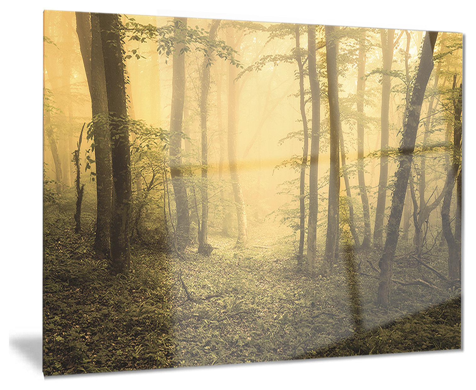 "Trail Through Yellow Foggy Forest" Landscape Photo Metal Art, 40"x30 ...
